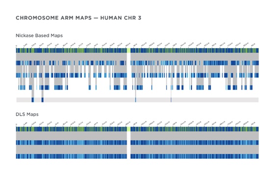 基因有限公司代理的Bionano Genomics 宣布在全球同步推出 全新DLS标记试剂盒，用于基因组图谱绘制和结构变异分析 - 生物通