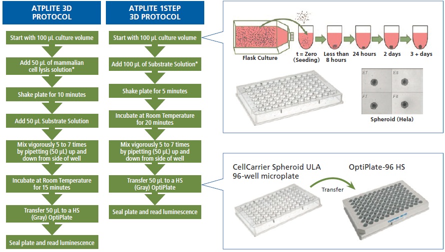 ATPlite化学发光检测方案：高通量细胞增殖/毒性检测[新品推荐] - 生物通