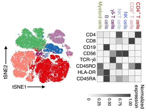 Nature Medicine封面文章：利用单核细胞数量预测及评估肿瘤免疫治疗效果 - 生物通