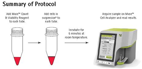 Muse™全能细胞质控仪 - 生物通