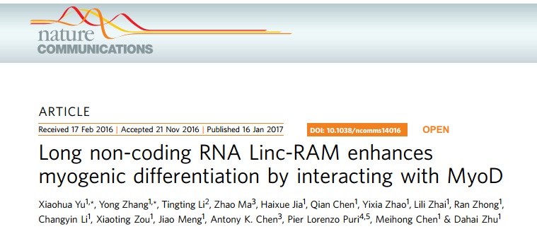 Stellaris RNA FISH原位验证促进LncRNA功能机制研究 - 生物通
