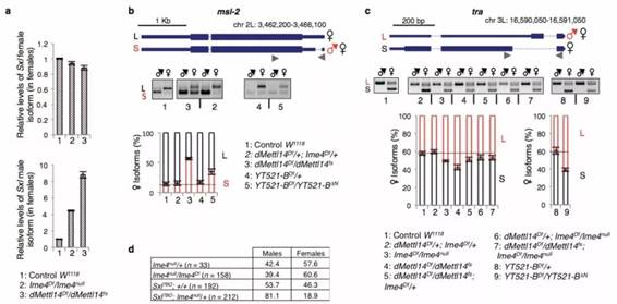 手把手教你如何开展m6A实验（医学版） - 生物通