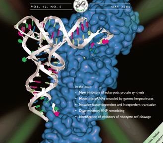 microRNA miRNA 癌症 基因