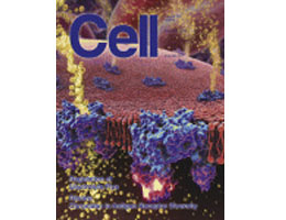 Cell|关注|文章|8月